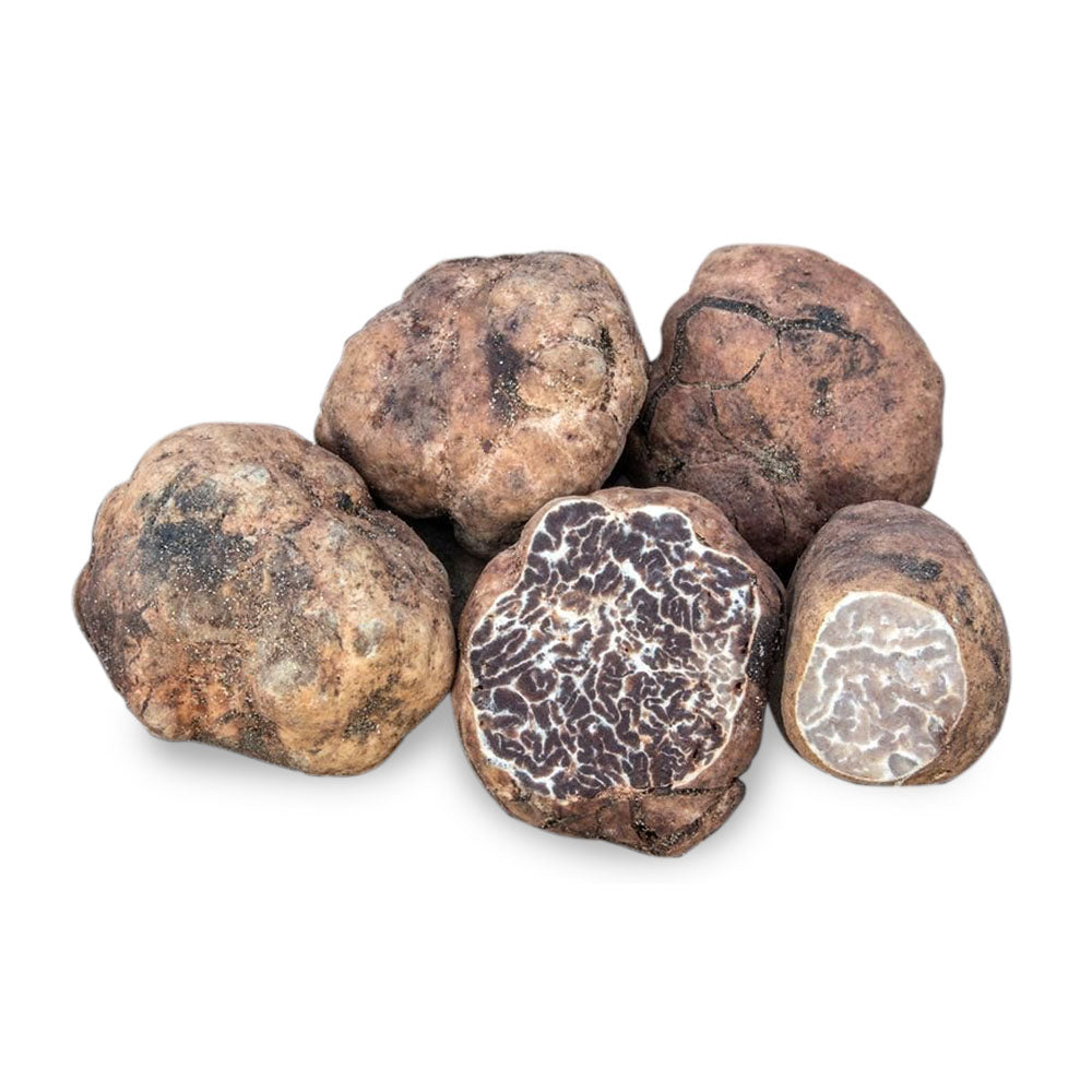 Trufo - The Future Of Truffles Is Open